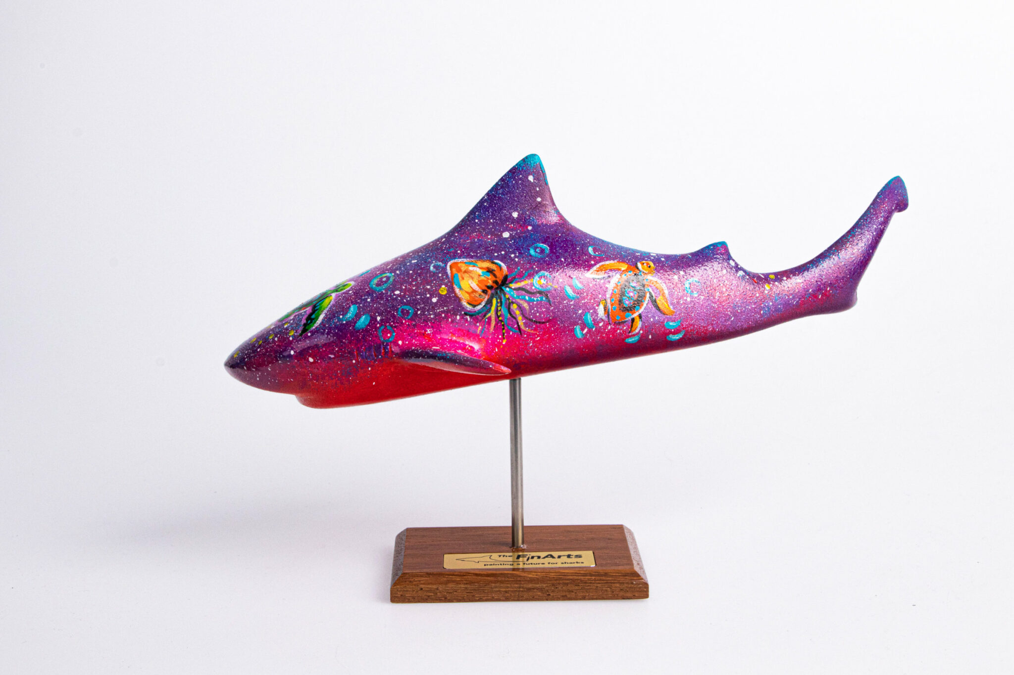 Turtle Dream - The Fin Arts