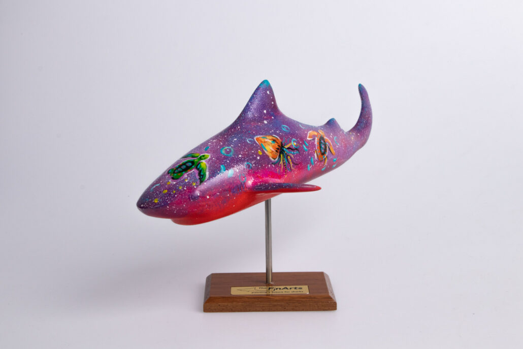 Turtle Dream - The Fin Arts